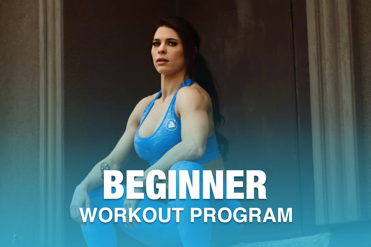 Beginner Workout Program - ANSPerformance